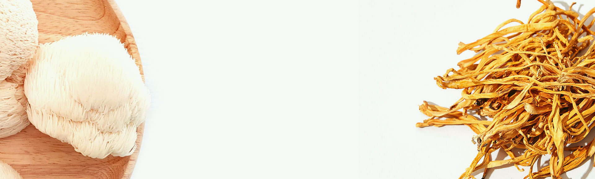 Functional Mushrooms – HempElf.com