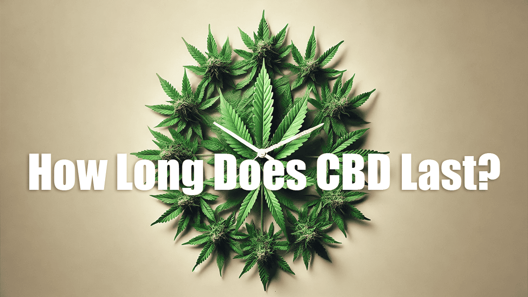 How Long Does CBD Last? – HempElf.com