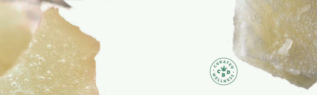 CBD Shatter – HempElf.com