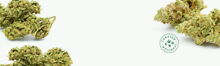 Buy the Best CBD Flower in UK – HempElf.com