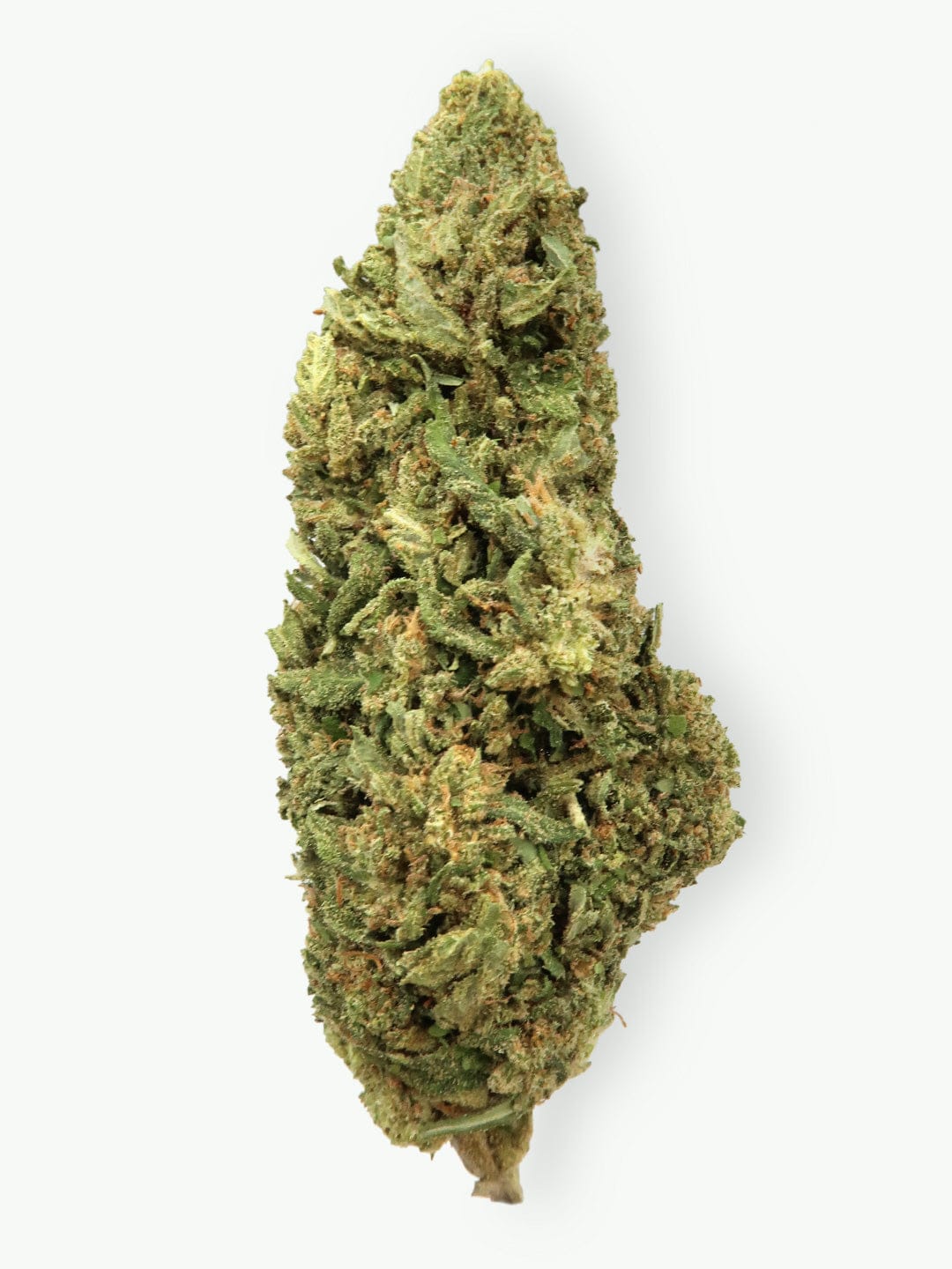 Premium UK CBD ★ "Cheese" Hemp Flowers (Buy Online) – HempElf.com