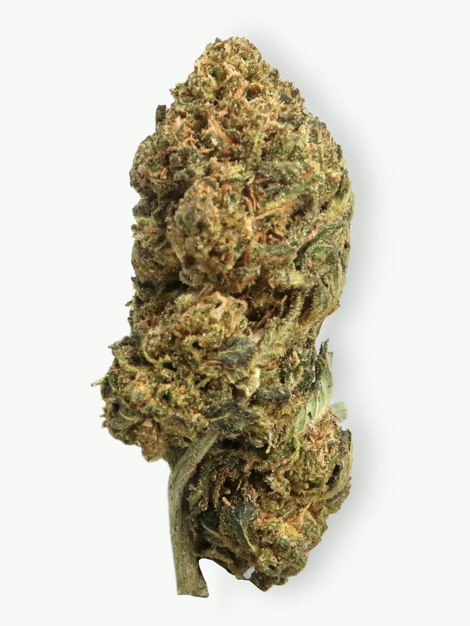 Buy the Best CBD Flower in UK – HempElf.com